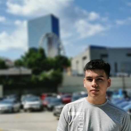 Portfolio Sebastian Noli